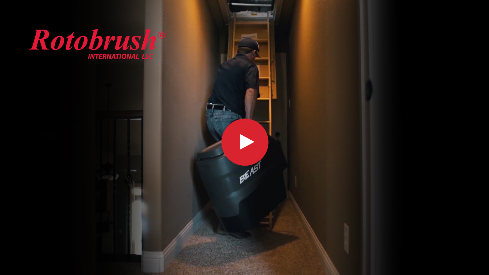 Entrepreneur Opportunities | Rotobrush